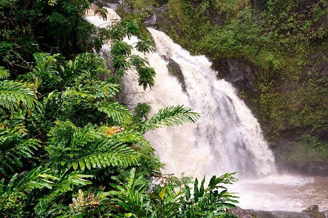 Deluxe Halfway to Hana: Private Tour from Kahului - Final Thoughts