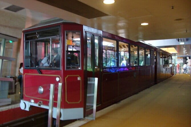 Deluxe Hong Kong City Tour using Mercedes-Benz V-Class Car+ Guide - The Experience: What’s Included and How It Translates for You