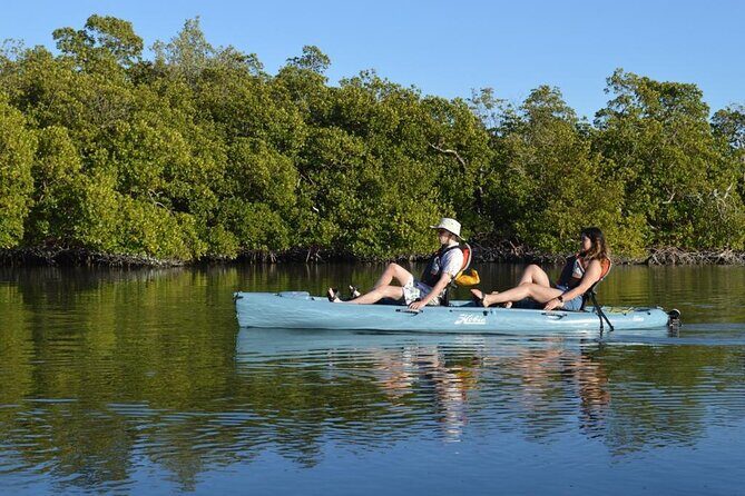 Deluxe Pedal Kayak Tour Marco Island and Naples, Florida - Wildlife and Ecosystem Encounters