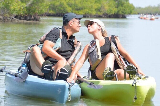 Deluxe Pedal Kayak Tour Marco Island and Naples, Florida - Who Would Enjoy This Tour?