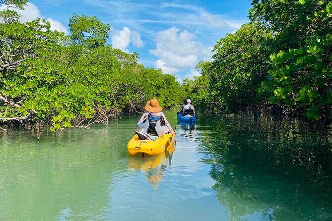 Deluxe Pedal Kayak Tour Marco Island and Naples, Florida - Final Thoughts: Is It Worth It?