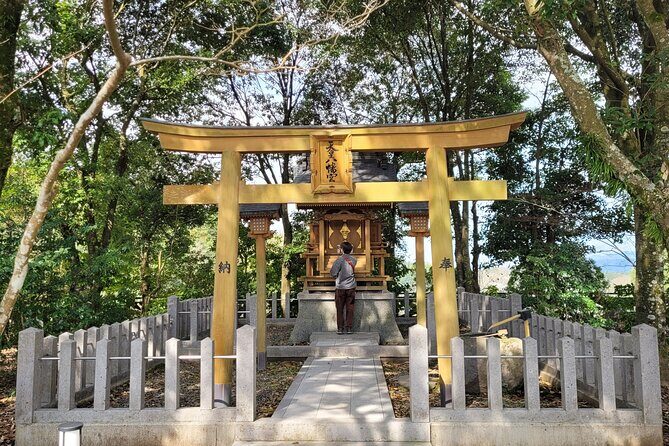 Deluxe Private Tour: Hita, AOT Statues and Onsen from Fukuoka - Final Thoughts: Who Will Love This Tour?