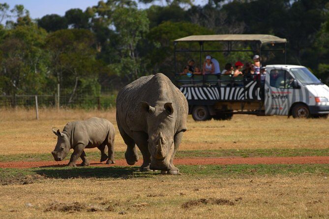 Deluxe Safari Adventure at Werribee Open Range Zoo - excl. entry - The Booking Process and Practicalities