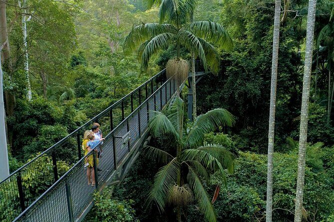 Deluxe Tamborine & Springbrook Day Tour with Skywalk & Glow Worms - Key Points