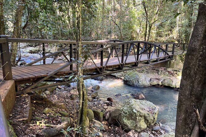 Deluxe Tamborine & Springbrook Day Tour with Skywalk & Glow Worms - The Sum Up: Who Should Book This Tour?