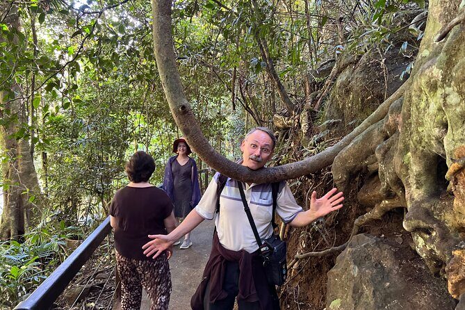 Deluxe Tamborine & Springbrook Day Tour with Skywalk & Glow Worms - FAQ