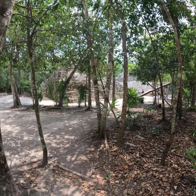 Deluxe Tulum, Coba & 5th Avenue from Cancun - The Voyage: What to Expect