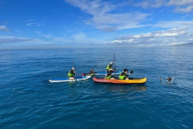 Deluxe Turtle Snorkeling Escapade at Waikiki - The Experience and Crew