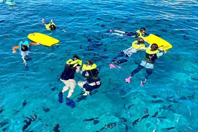 Deluxe Turtle Snorkeling Escapade at Waikiki - The Sum Up