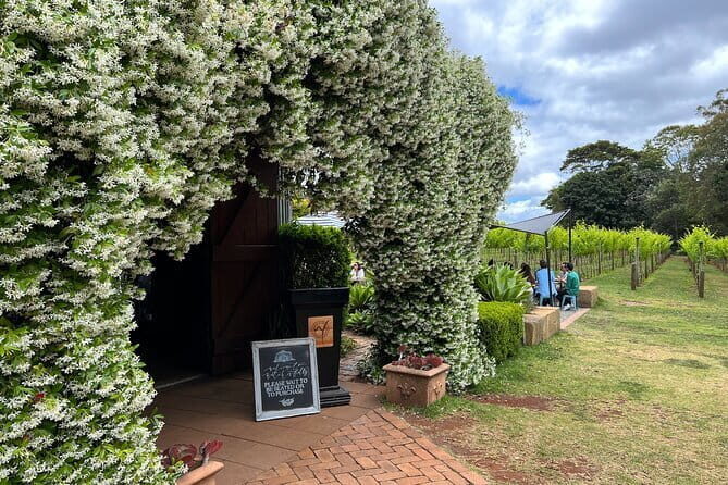 Deluxe Winery Tour to Tamborine Mountain (Mon-Tues) - Introduction: A Taste of Comfort and Charm