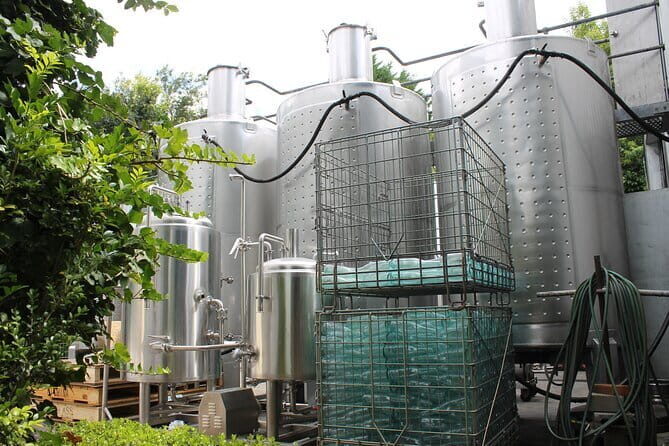 Deluxe Winery Tour to Tamborine Mountain (Mon-Tues) - Authentic Experiences and Unspoken Highlights