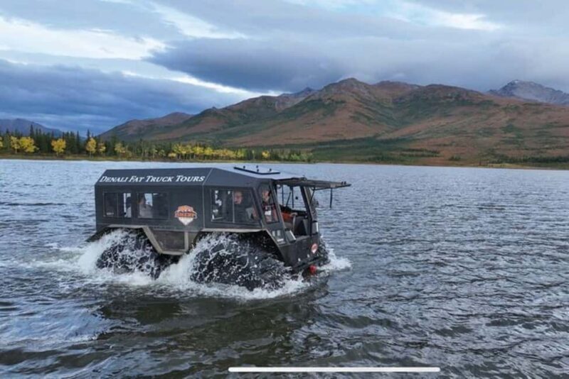 Denali: 3 Hour Fat Truck/SHERP Off-Road Adventure - Summing it Up: Who’s This Tour For?