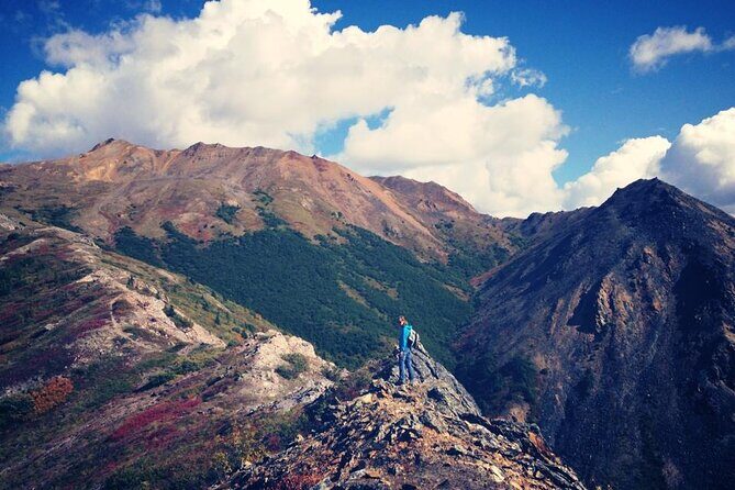 Denali 4 Hour Hiking Adventure with Naturalist Guide - Key Points