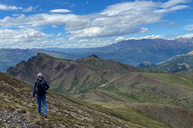 Denali 4 Hour Hiking Adventure with Naturalist Guide - Value and Practical Considerations