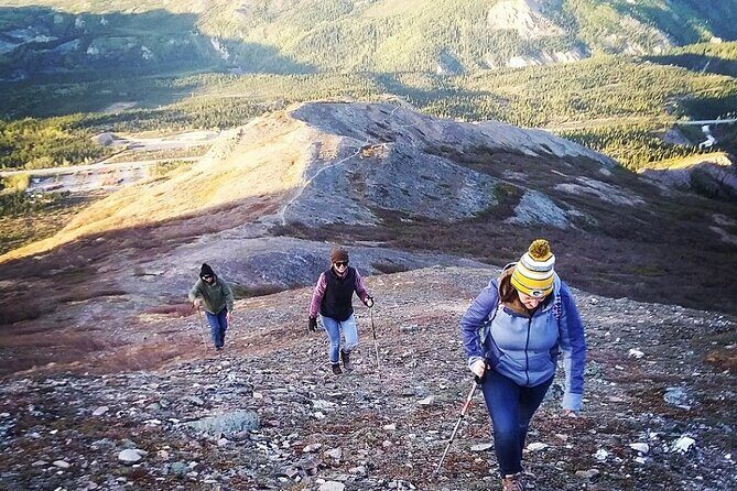 Denali 4 Hour Hiking Adventure with Naturalist Guide - Frequently Asked Questions