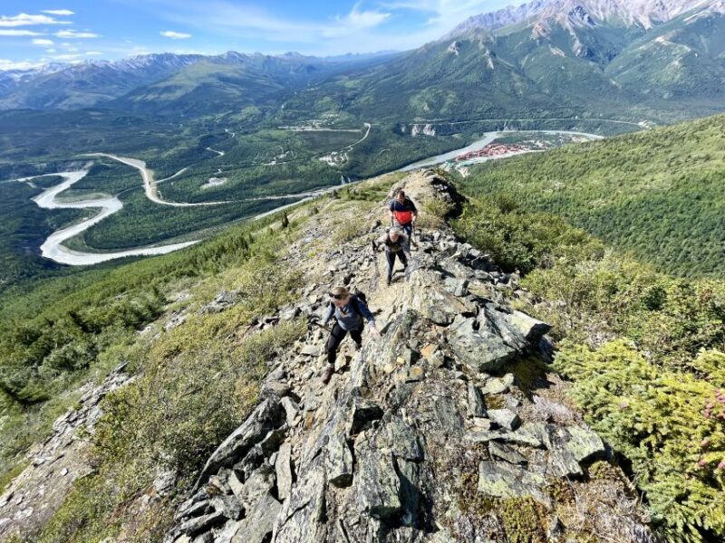 Denali: 5 Hour Guided Into The Mountains Hiking Tour - The Sum Up