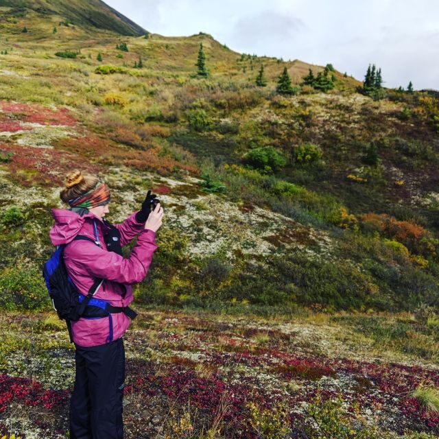 Denali: 5-Hour Guided Wilderness Hiking Tour - First Impressions and General Overview