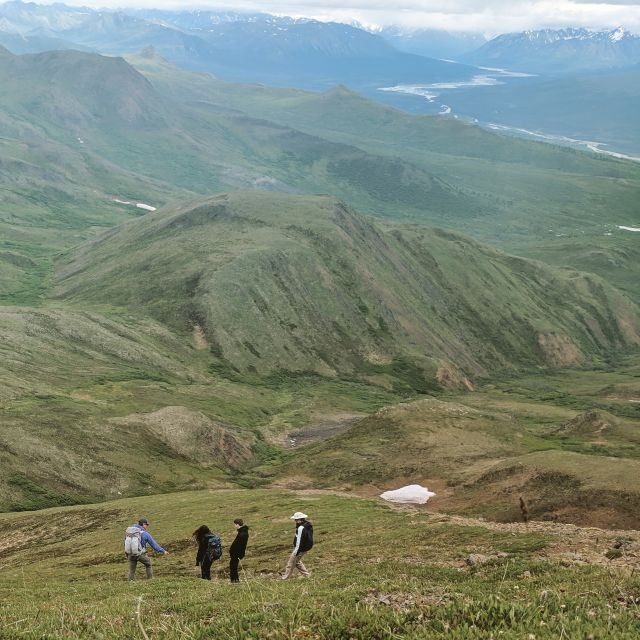 Denali: 5-Hour Guided Wilderness Hiking Tour - The Strenuous Yet Rewarding Ascent