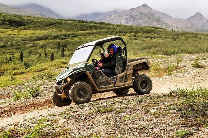 Denali ATV Trailblazer 3.5 Hour Tour - Stops & Sightseeing: More Than Just Riding