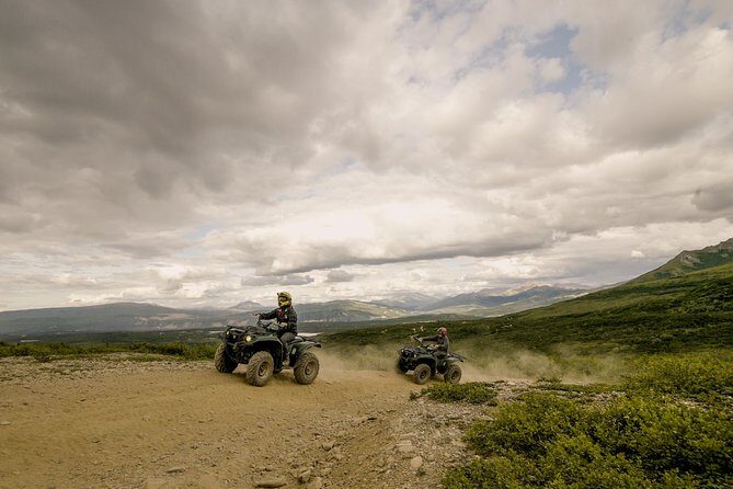 Denali ATV Trailblazer 3.5 Hour Tour - The Experience: What You’ll Feel & See
