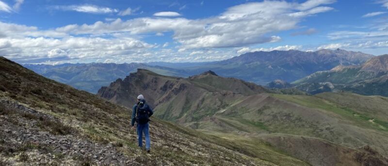 Denali: Denali National Park Walking Tour - How the Tour Works: From Hotel to Trail and Back