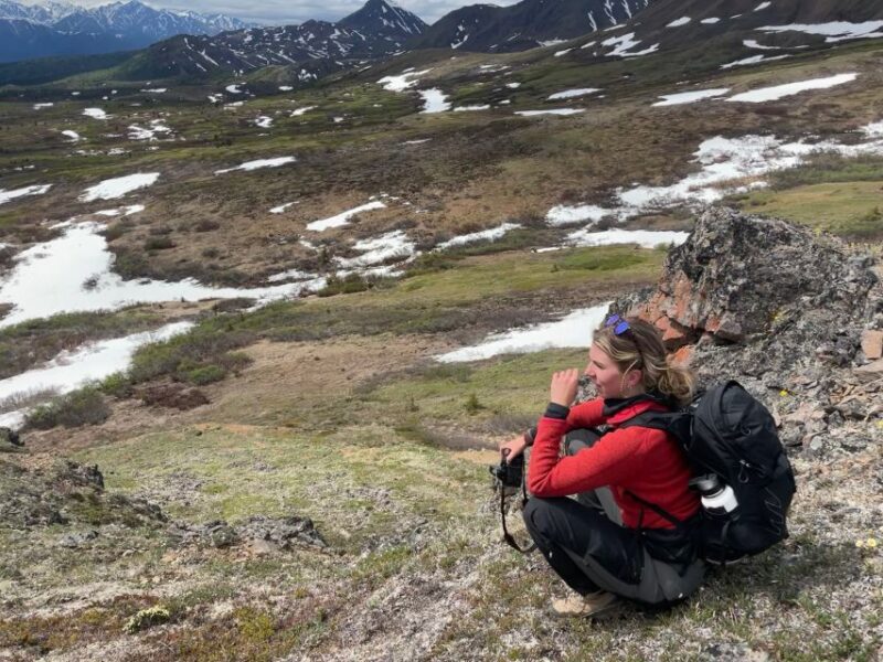 Denali: Denali National Park Walking Tour - Pricing and Value: Is It Worth It?
