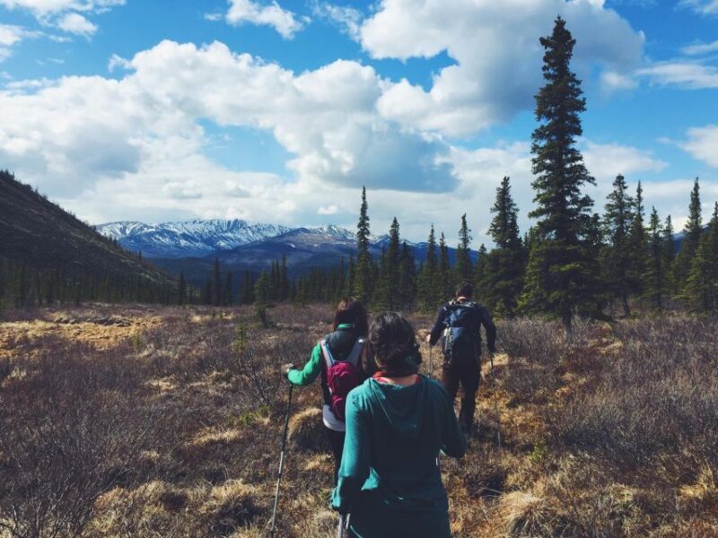 Denali: Denali National Park Walking Tour - FAQs