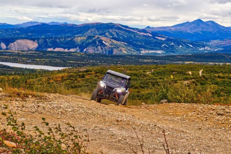 Denali: Explore the Backcountry with an ATV Ride - Key Points