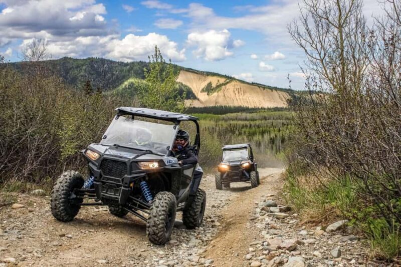 Denali: Explore the Backcountry with an ATV Ride - An In-Depth Look at the ATV Backcountry Experience