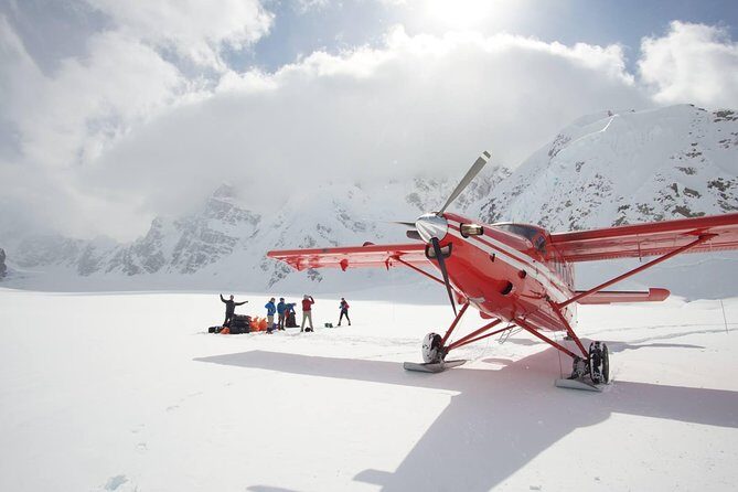 Denali Flyer Flightseeing Tour from Talkeetna - Everything You Need to Know About This Flightseeing Adventure