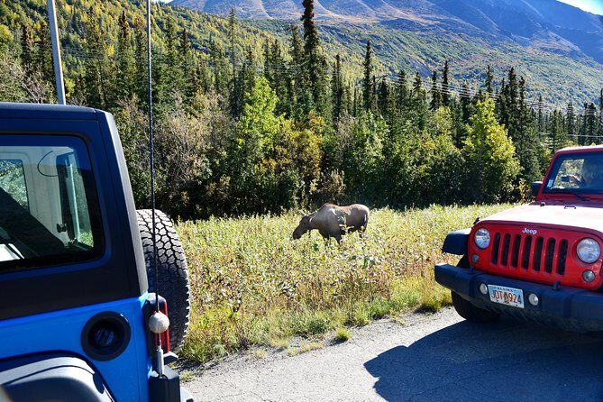 Denali Highway Jeep Excursion - The Experience and Its Atmosphere