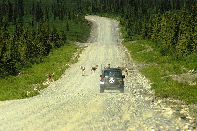 Denali Highway Jeep Excursion - Final Thoughts