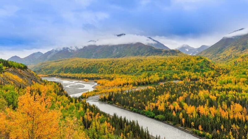 Denali in a Day Full-Day Sightseeing Tour - The Experience in Practice