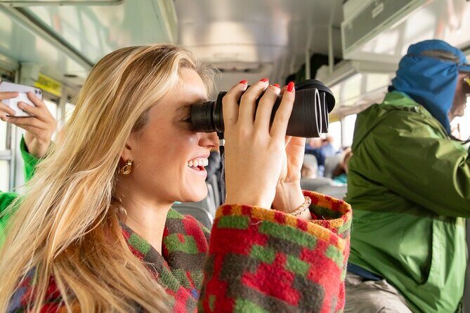 Denali in a Day Sightseeing Package - Key Points