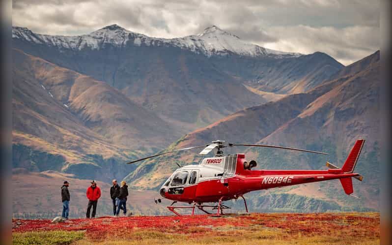 Denali National Park: Helicopter and Hike Adventure - Final Thoughts: Who Will Love This Adventure?