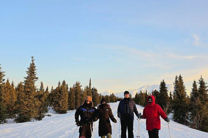 Denali National Park plus Aurora Chase Tour - The Practicalities