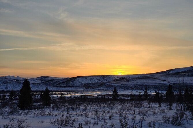 Denali National Park plus Aurora Chase Tour - Who Should Consider This Tour?