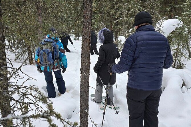 Denali National Park plus Aurora Chase Tour - The Sum Up