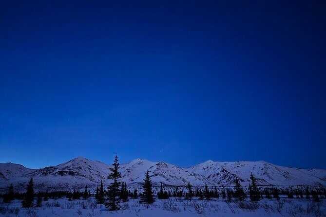 Denali National Park plus Aurora Chase Tour - FAQ