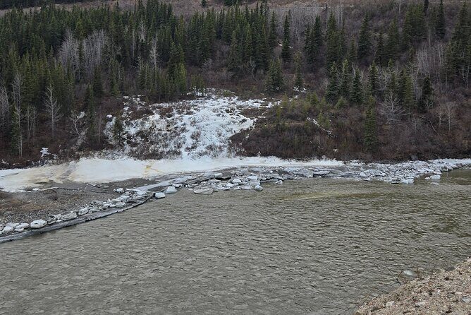 Denali National Park Shuttle - An In-Depth Look at the Denali National Park Shuttle Experience