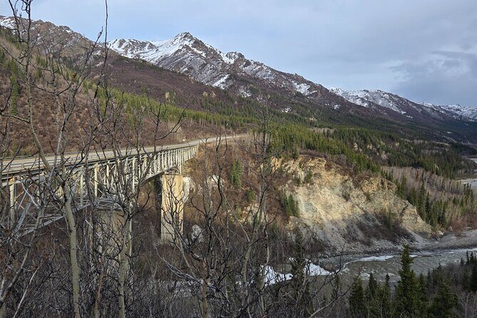 Denali National Park Shuttle - Who Will Love This Tour?
