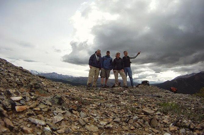 Denali National Park Walking Tour - What to Expect on the Tour