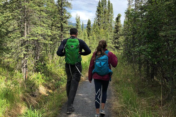 Denali National Park Walking Tour - Practical Tips for Participants