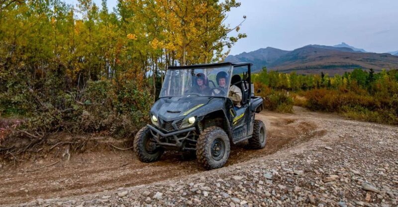 Denali National Park: Wilderness ATV Adventure - Who Will Love This Tour?