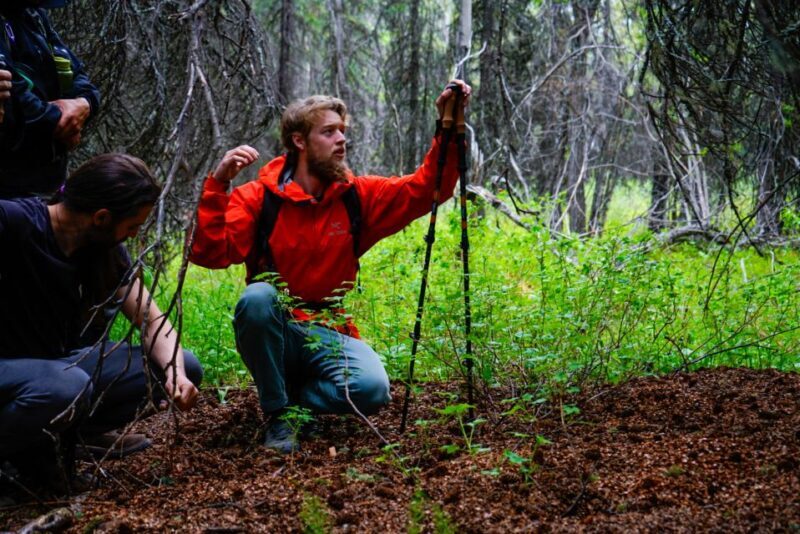 Denali: Naturalist Walking Tour in Denali National Park - Authentic Reviews: What Travelers Say