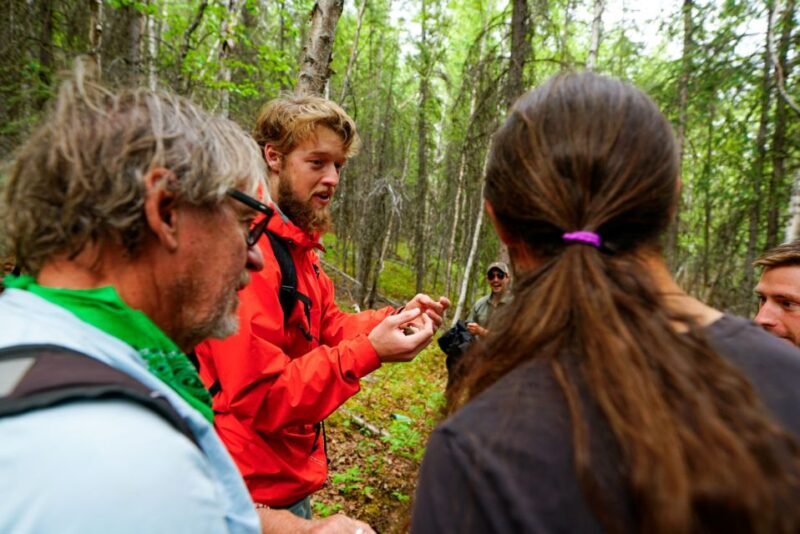 Denali: Naturalist Walking Tour in Denali National Park - Frequently Asked Questions