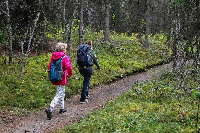 Denali Nature Hike - FAQ