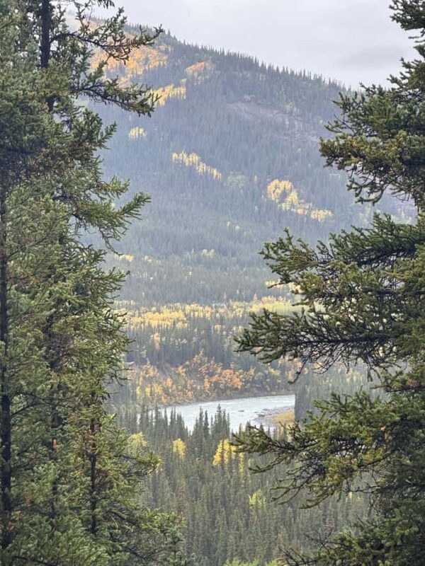 Denali: Nenana River Trail Guided Hike with Pickup - Key Points