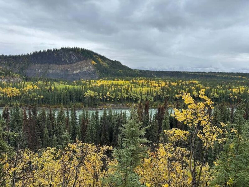 Denali: Nenana River Trail Guided Hike with Pickup - What to Expect on the Nenana River Trail Hike
