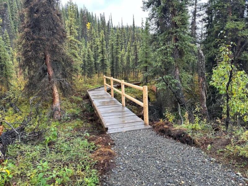 Denali: Nenana River Trail Guided Hike with Pickup - Authentic Experiences and What Travelers Say